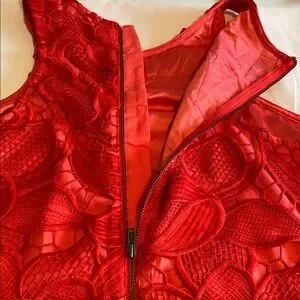 Lovers + Friends | Dresses | Lovers Friends Caspian Shift Dress Red ...